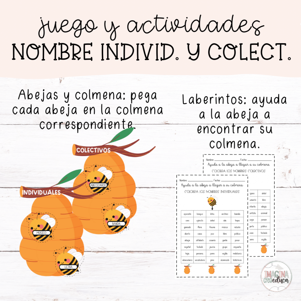 Nombres individuales y colectivos – Imagina, crea, educa